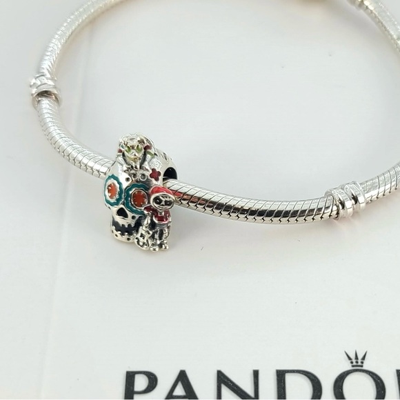 Pandora | Jewelry | New Pandora Disney Pixar Coco Miguel Dante Skull ...